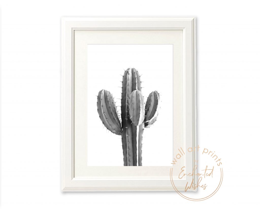 Black & White Cactus Photo Print - Wall Art Printable Prints